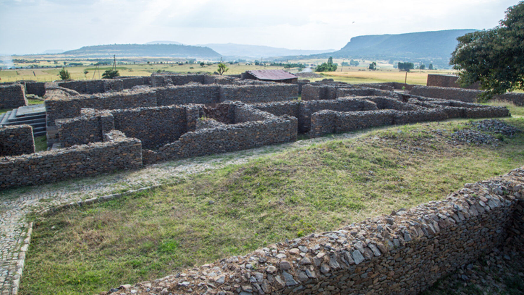 Commerce and Trade in Ancient Africa: Aksum | Libertarianism.org