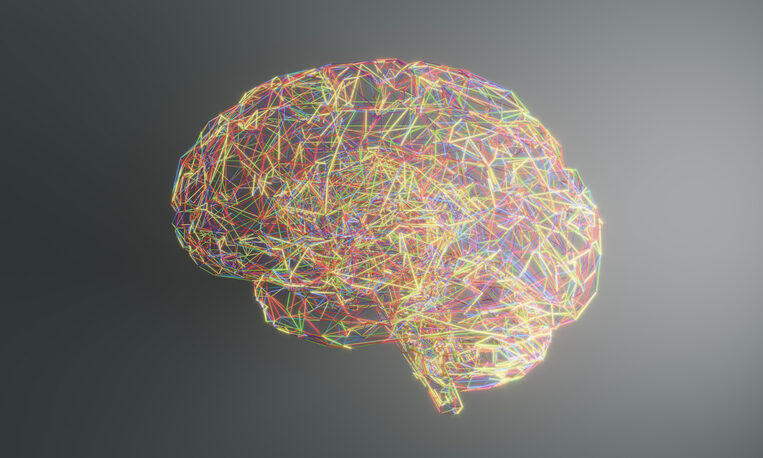 The Partisan Brain | Libertarianism.org