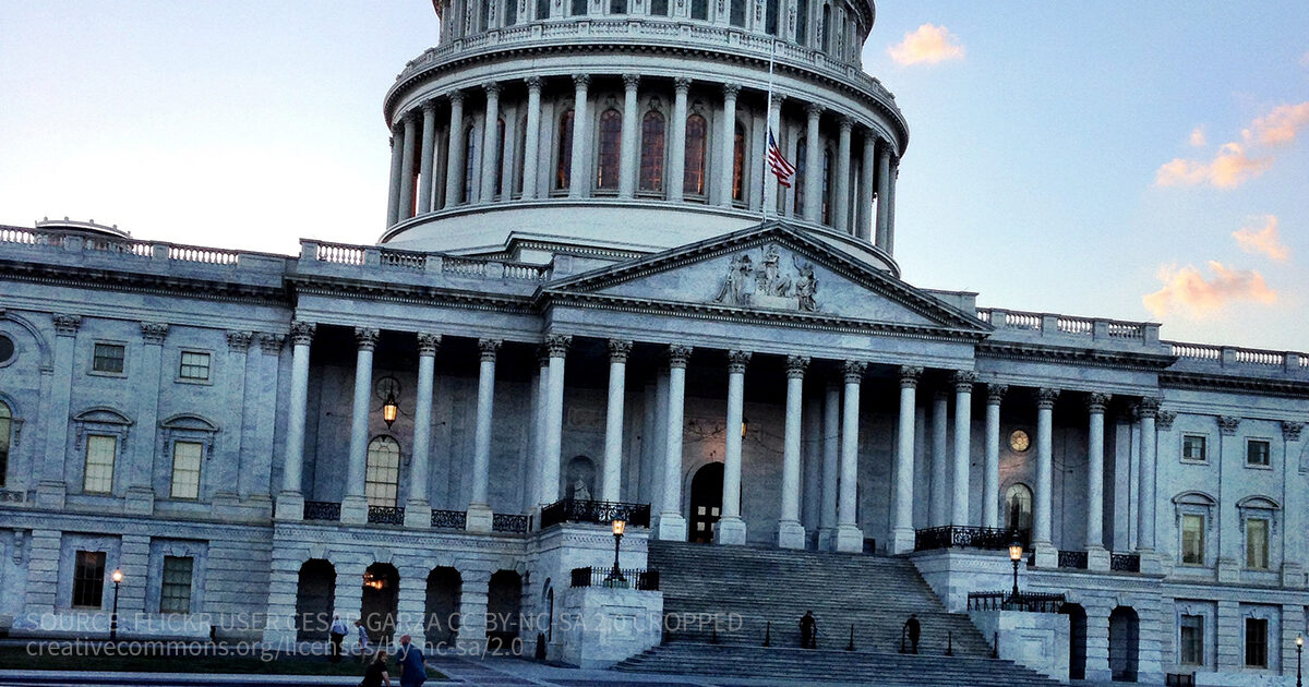 Are Libertarians Anti-Government? | Libertarianism.org