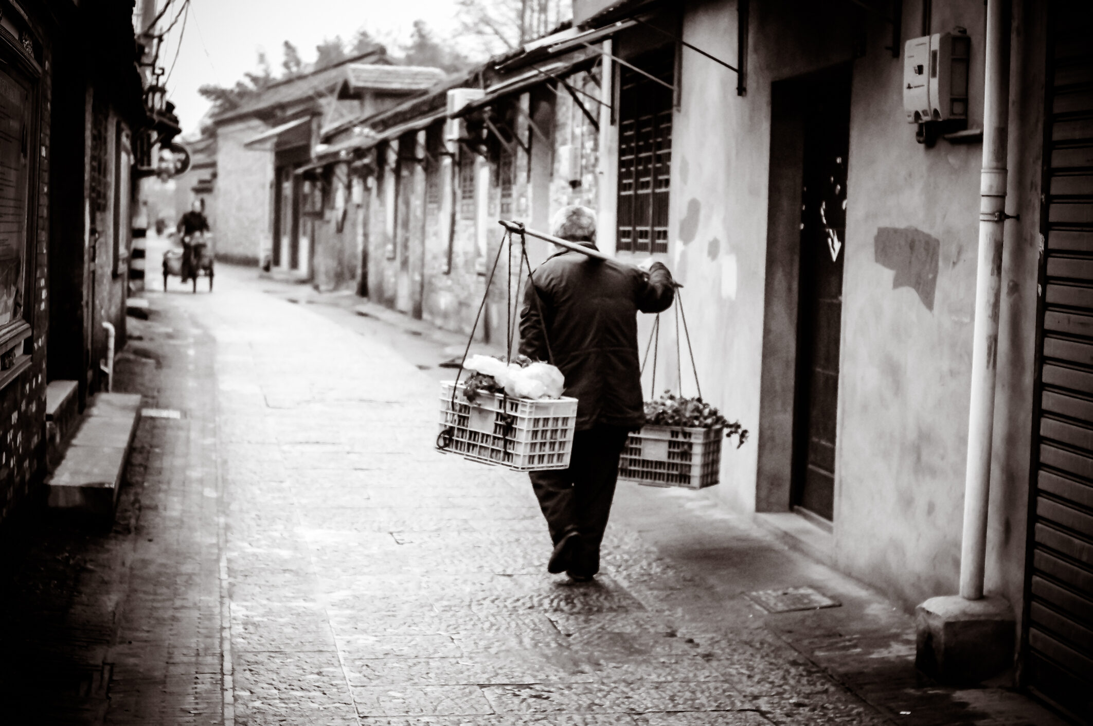 The Right to Earn a Living | Free Thoughts Podcast