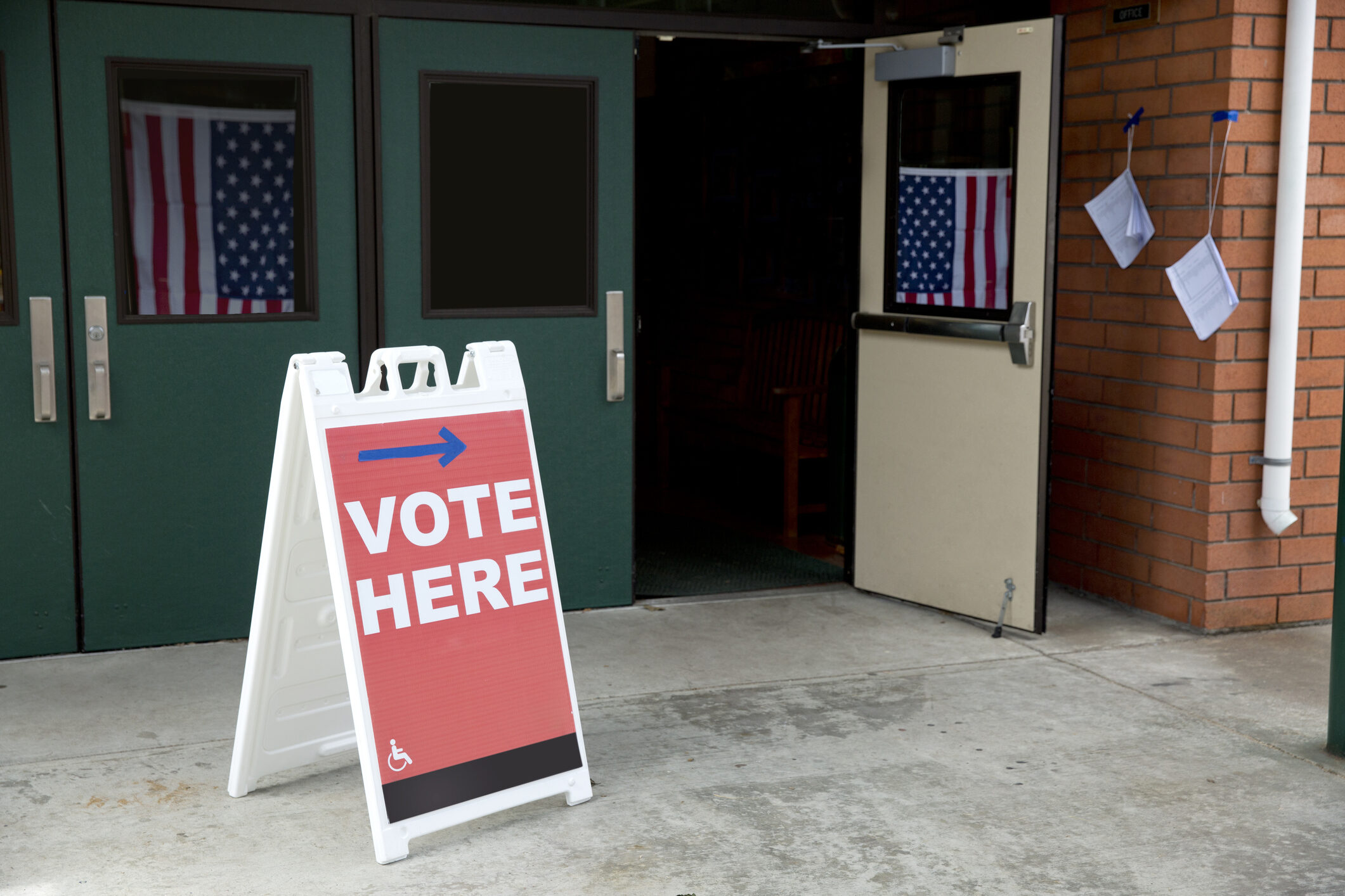 Libertarian Perspectives on Voting | Libertarianism.org