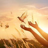 Non-aggression Principle: A Libertarianism.org Guide