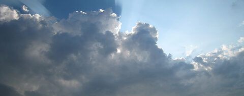 Roderick T. Long | Libertarianism.org