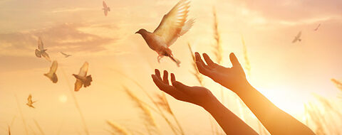 Non-aggression Principle: A Libertarianism.org Guide